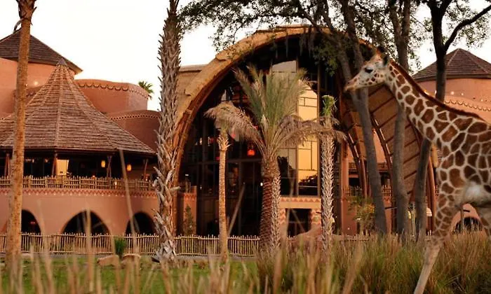 Hotel Disney'S Animal Kingdom Villas - Kidani Village Lake Buena Vista ...