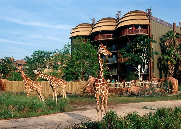 Hotel Disney'S Animal Kingdom Villas - Kidani Village Lake Buena Vista ...